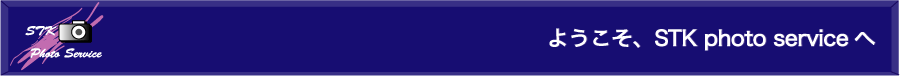 TOPページ | STK photo service| 株式会社STKが運営するインターネット写真販売サイト